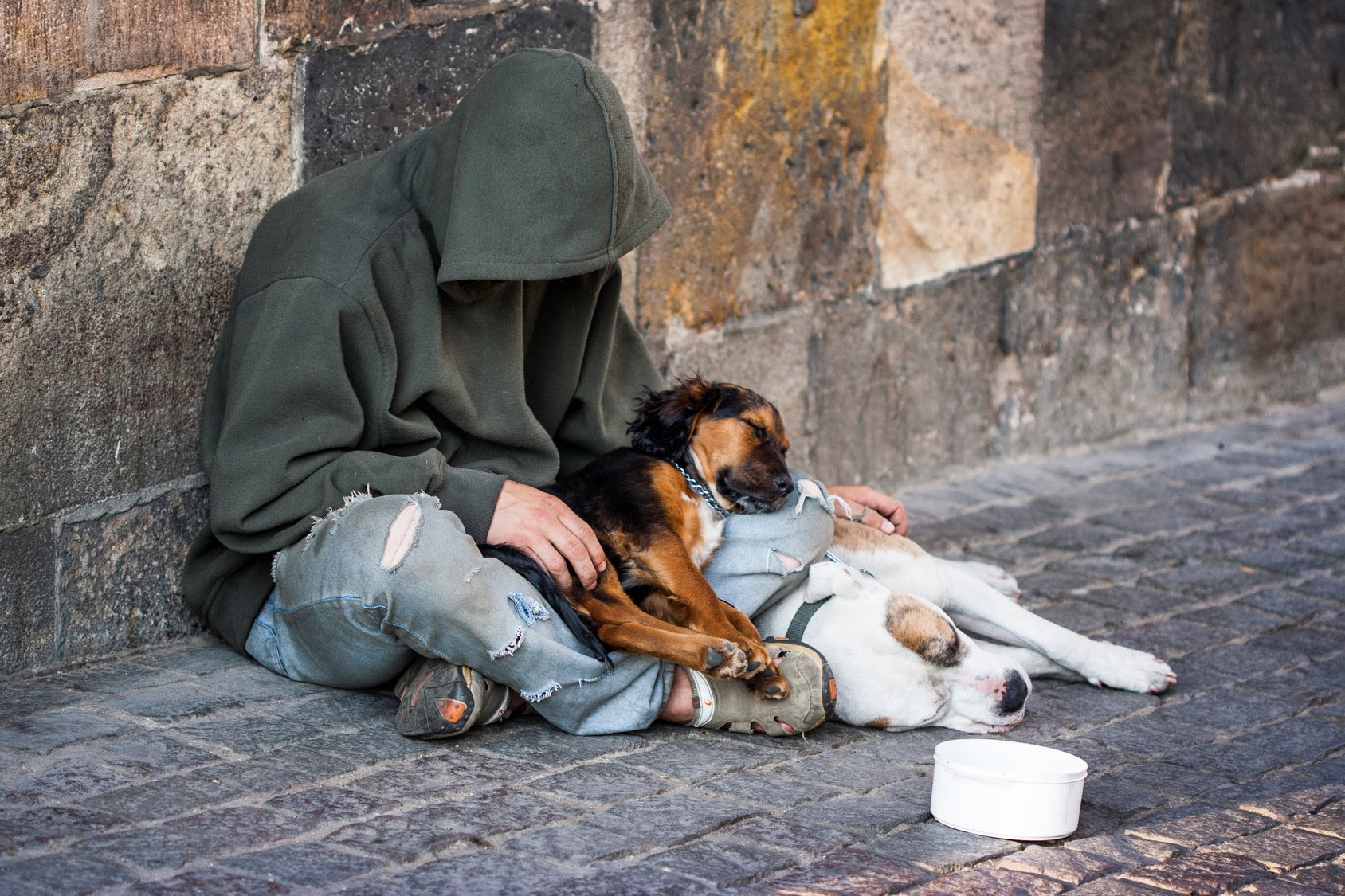 Les chiens des SDF... même le chien dérange !! - Soleil Couchant Les chiens des SDF... même le chien dérange !! - Soleil Couchant